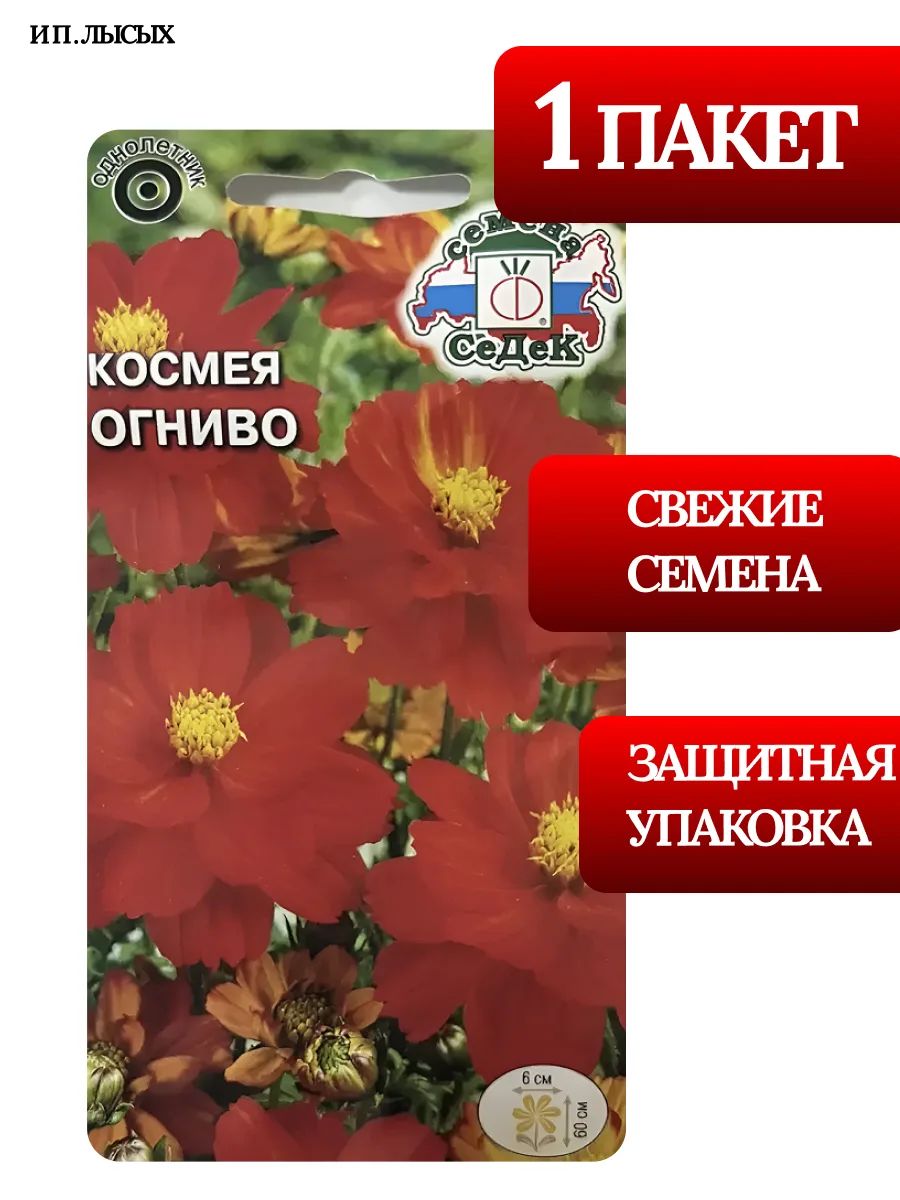 Семена Космея "Огниво"
