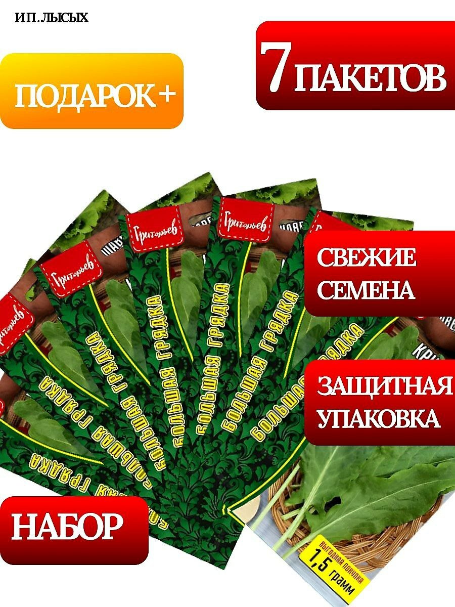 Семена Щавель "Крупнолистный"