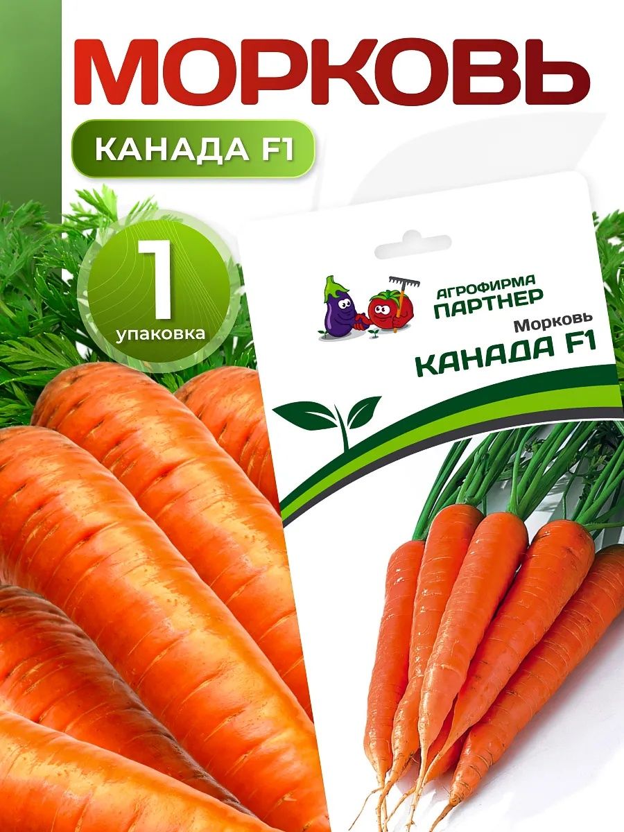 Семена моркови Канада