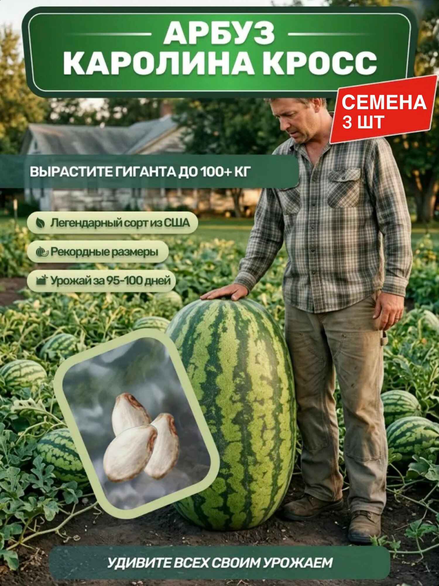 Арбуз семена, Каролина Кросс. гигантские семена арбуза 1 шт. гигантский арбуз семена арбуза Каролина Кросс