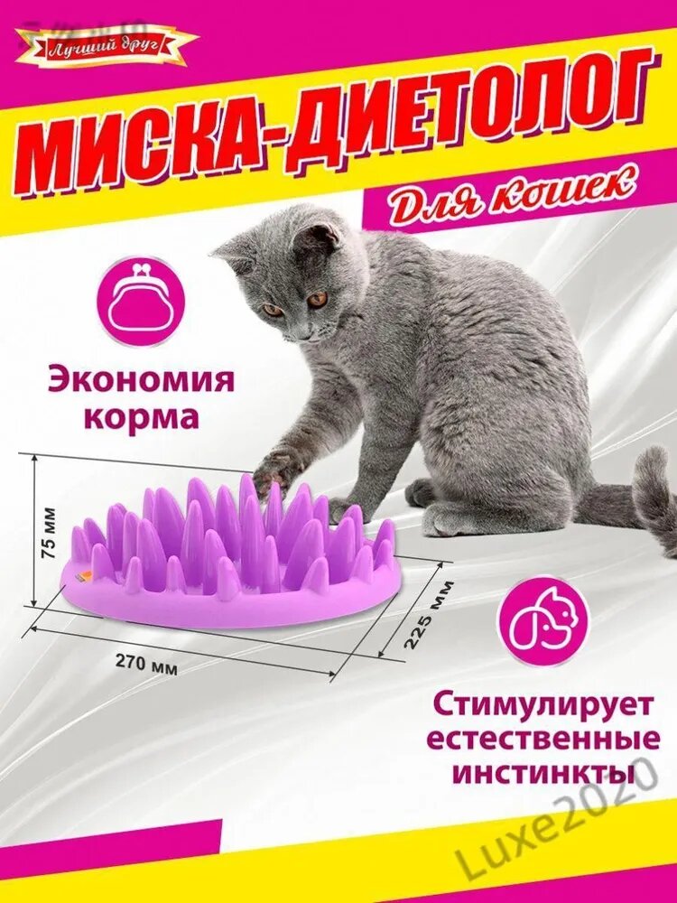 Миска для животных