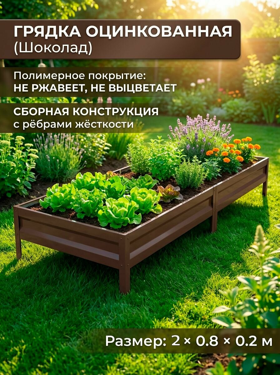 Грядка оцинкованная 2 м на 0.8 м высота 20 см для сада, огорода и дачи с полимерным покрытием, цвет: шоколадно-коричневый