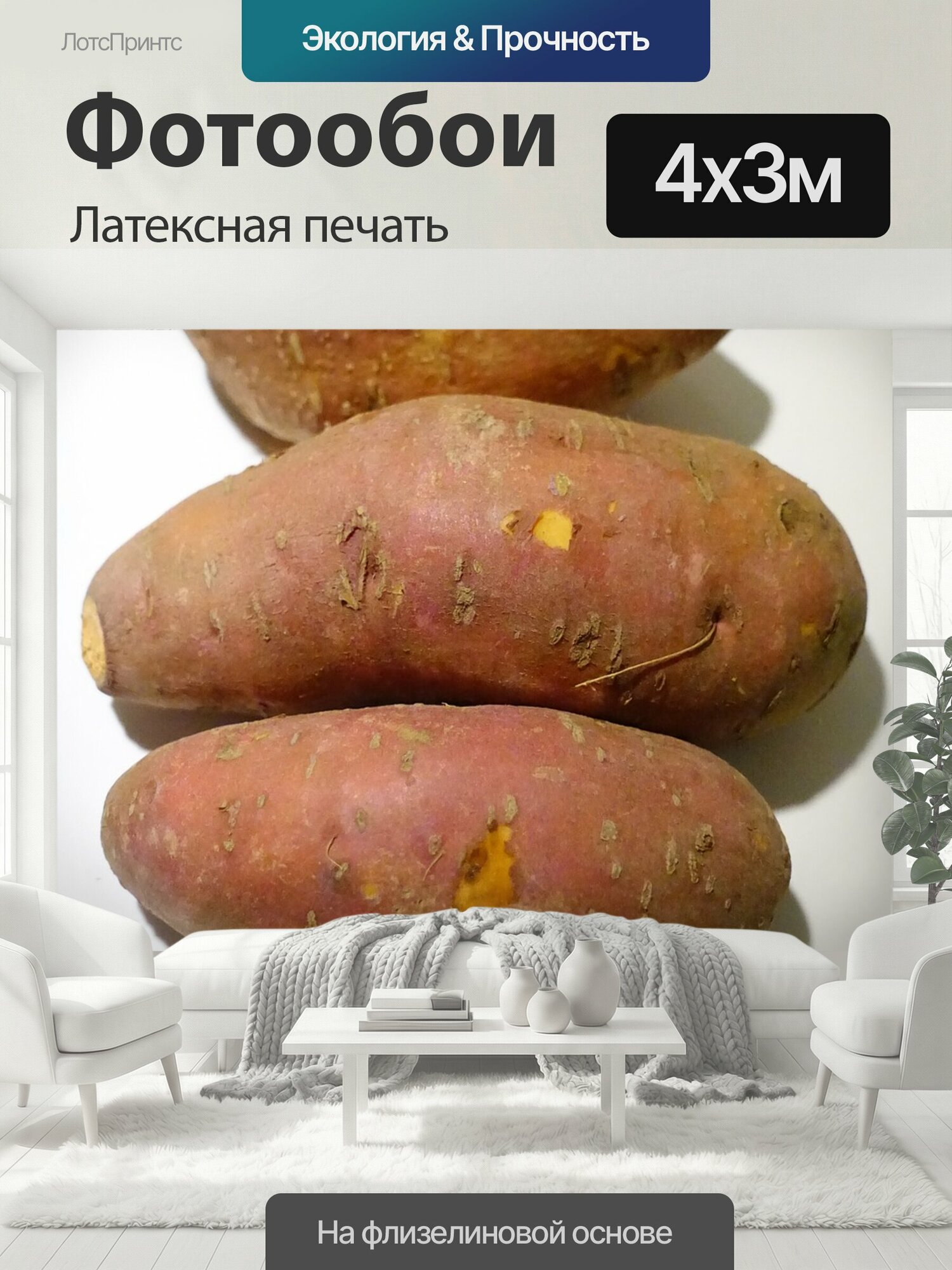 Фотообои моющиеся ударопрочные "Сладкая картошка, ипомея batatas, батате" 400x300 см. латексная печать