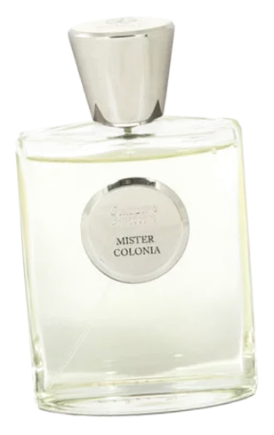 Джардино Бенессере Мистер Колония парфюм унисекс 100 мл - Giardino Benessere Mister Colonia