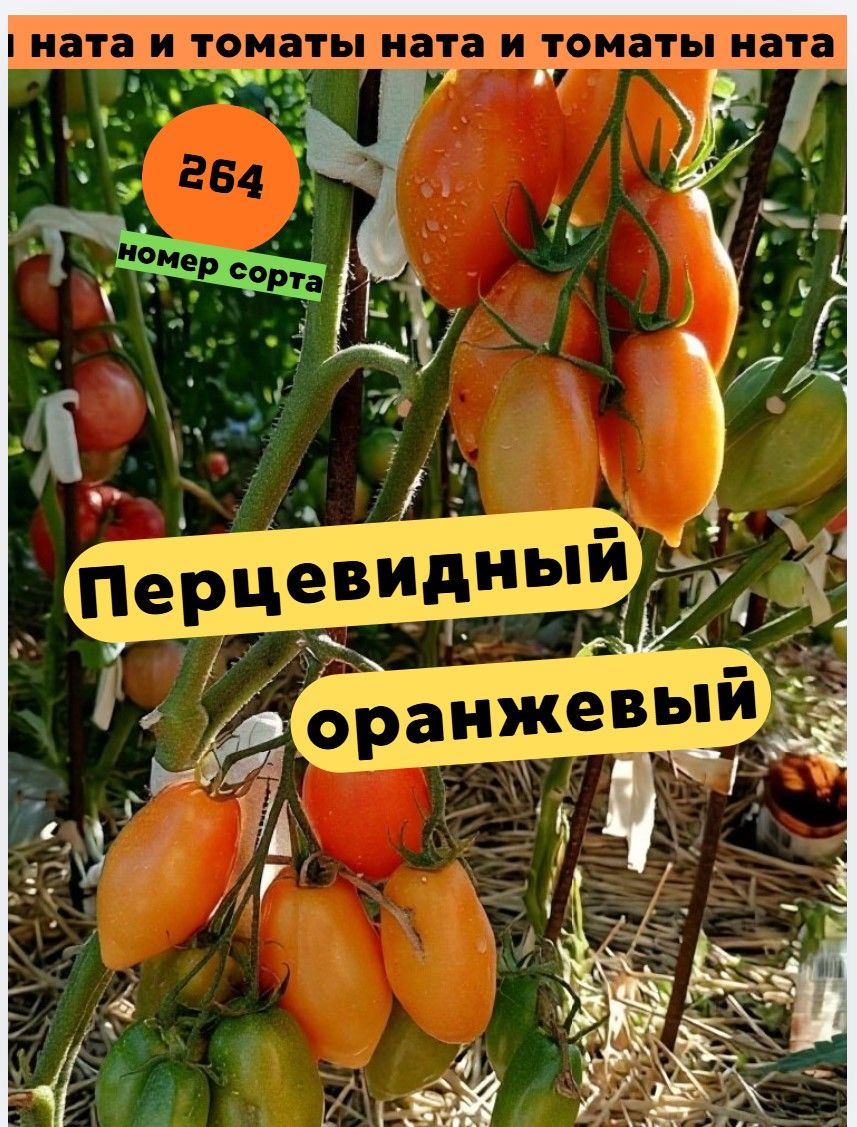Коллекционные семена томата Перцевидный оранжевый 10 шт