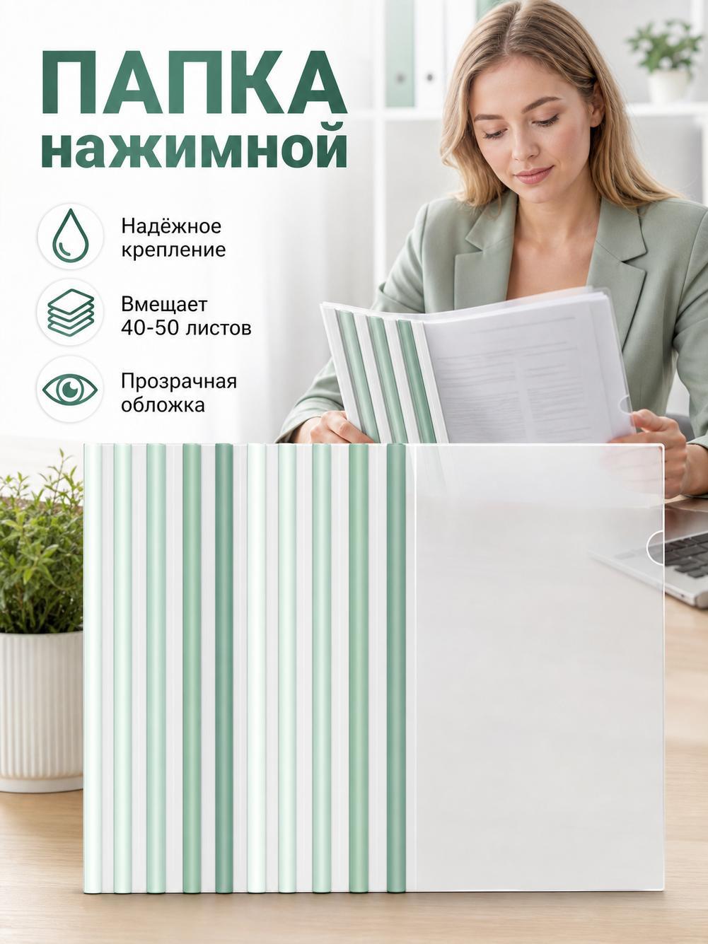 Папка-скоросшиватель А4 с прозрачной обложкой, пастельные цвета, для школы и офиса