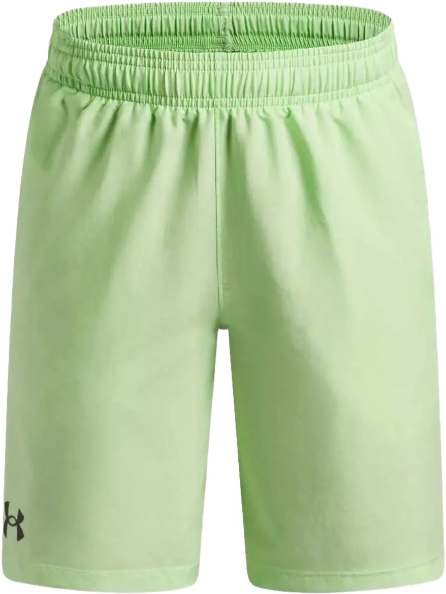 Шорты спортивные UA Tech Woven Short