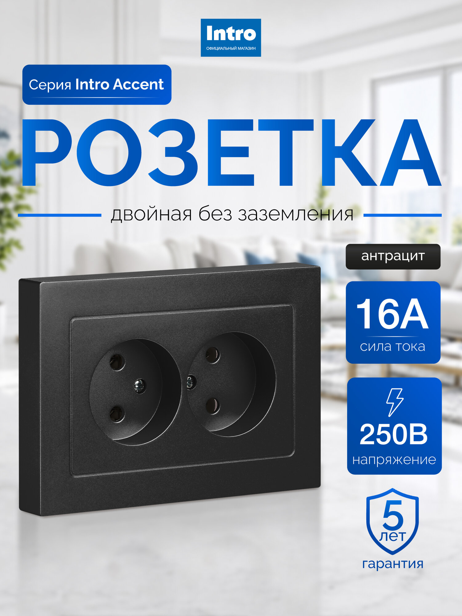 Розетка Intro Accent 6-204-05 без заземления двойная 2X2P, 16А 250В, IP20, скрытой установки, антрацит