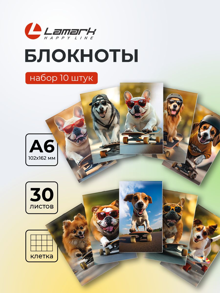 Набор блокнотов для записей А6, 10 шт в клетку LAMARK На скейтах. Блокнот для первоклассника