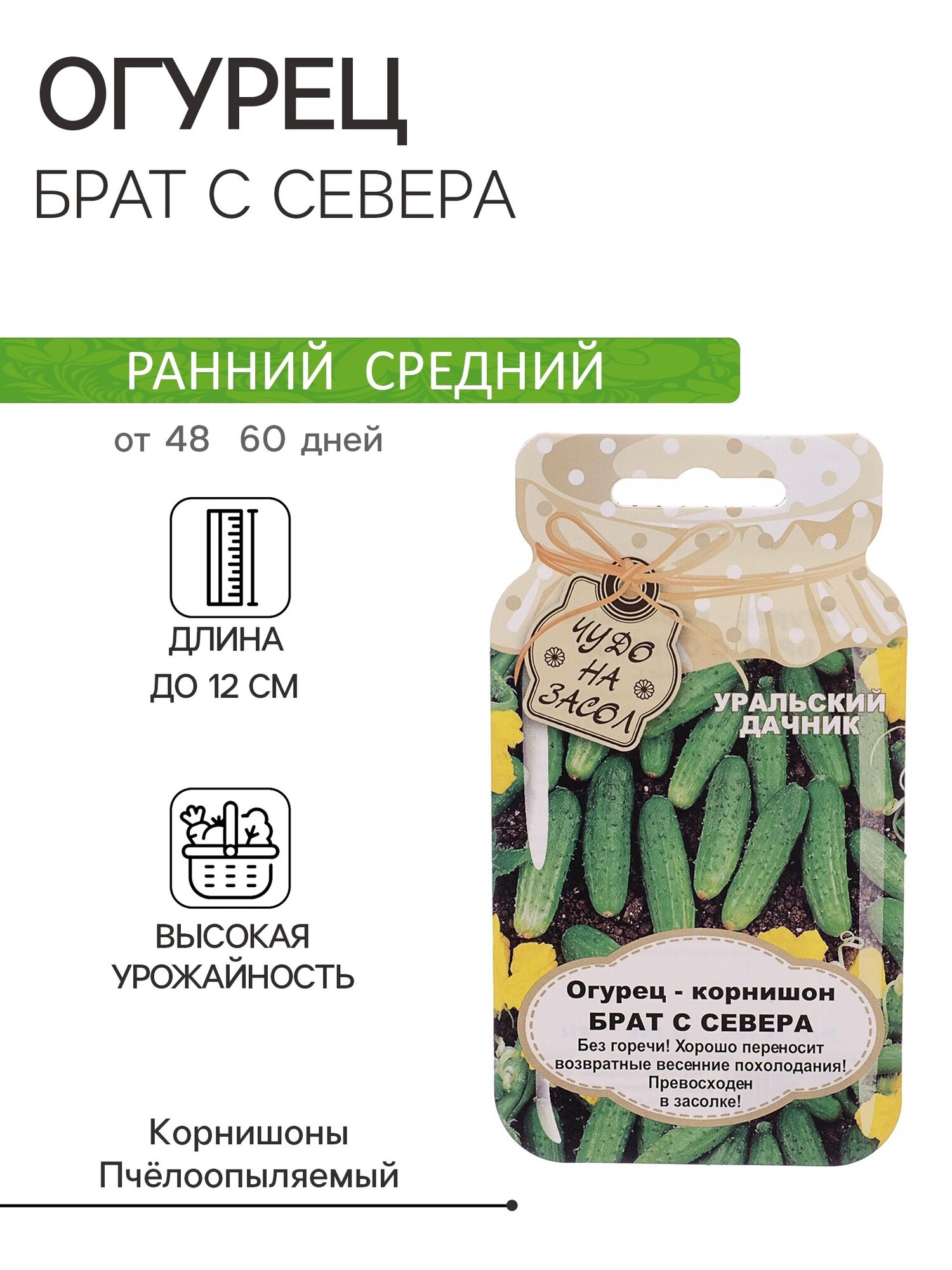Огурец «Брат с Севера», семена, 10 шт, «Уральский Дачник»