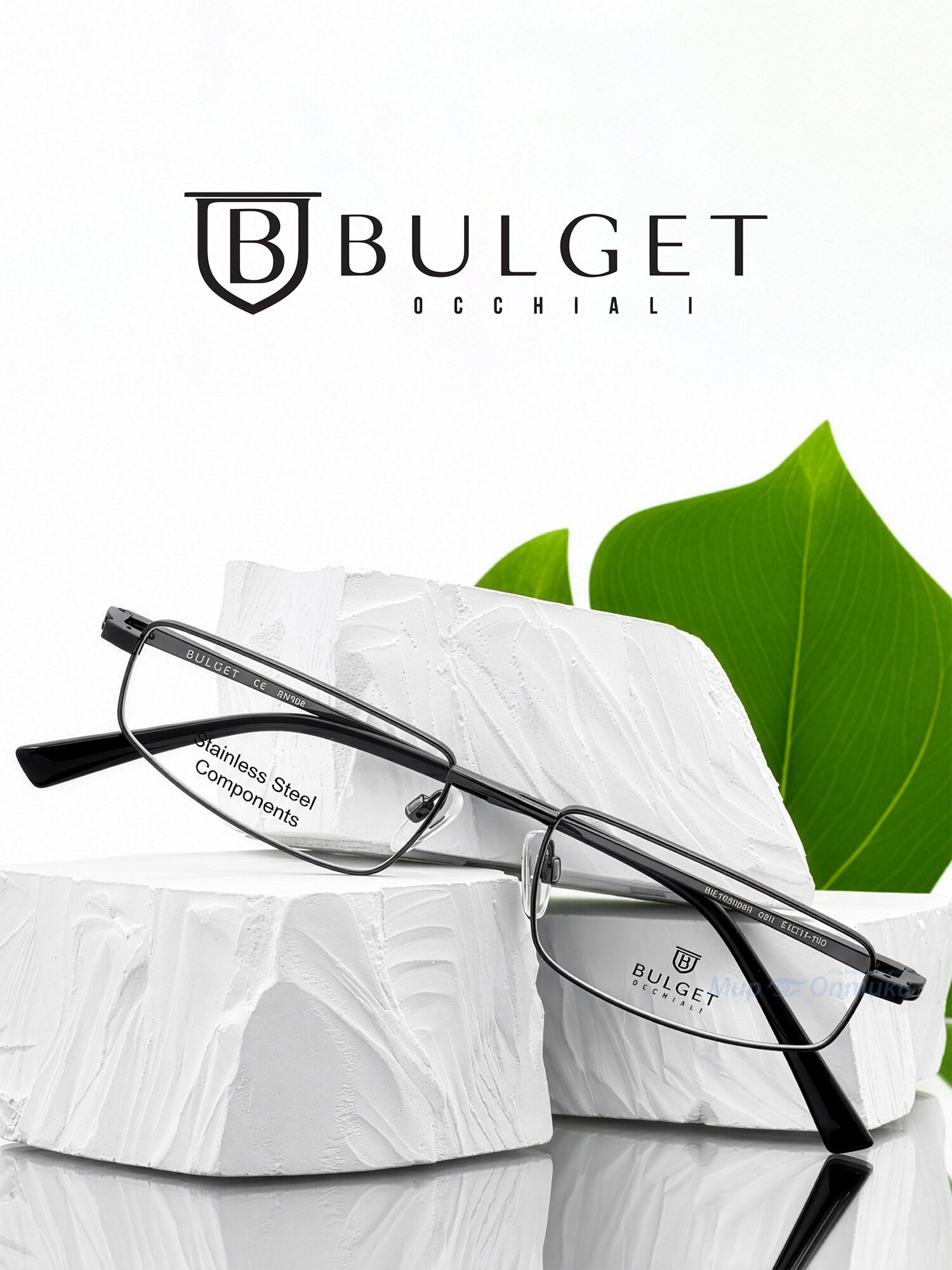 Оправа для очков BULGET BG1701MR 02A