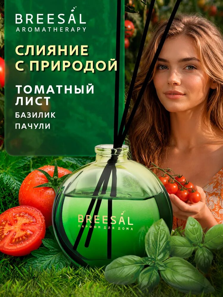 Breesal Диффузор для дома, ароматизатор с палочками : Томат, базилик, 70 мл
