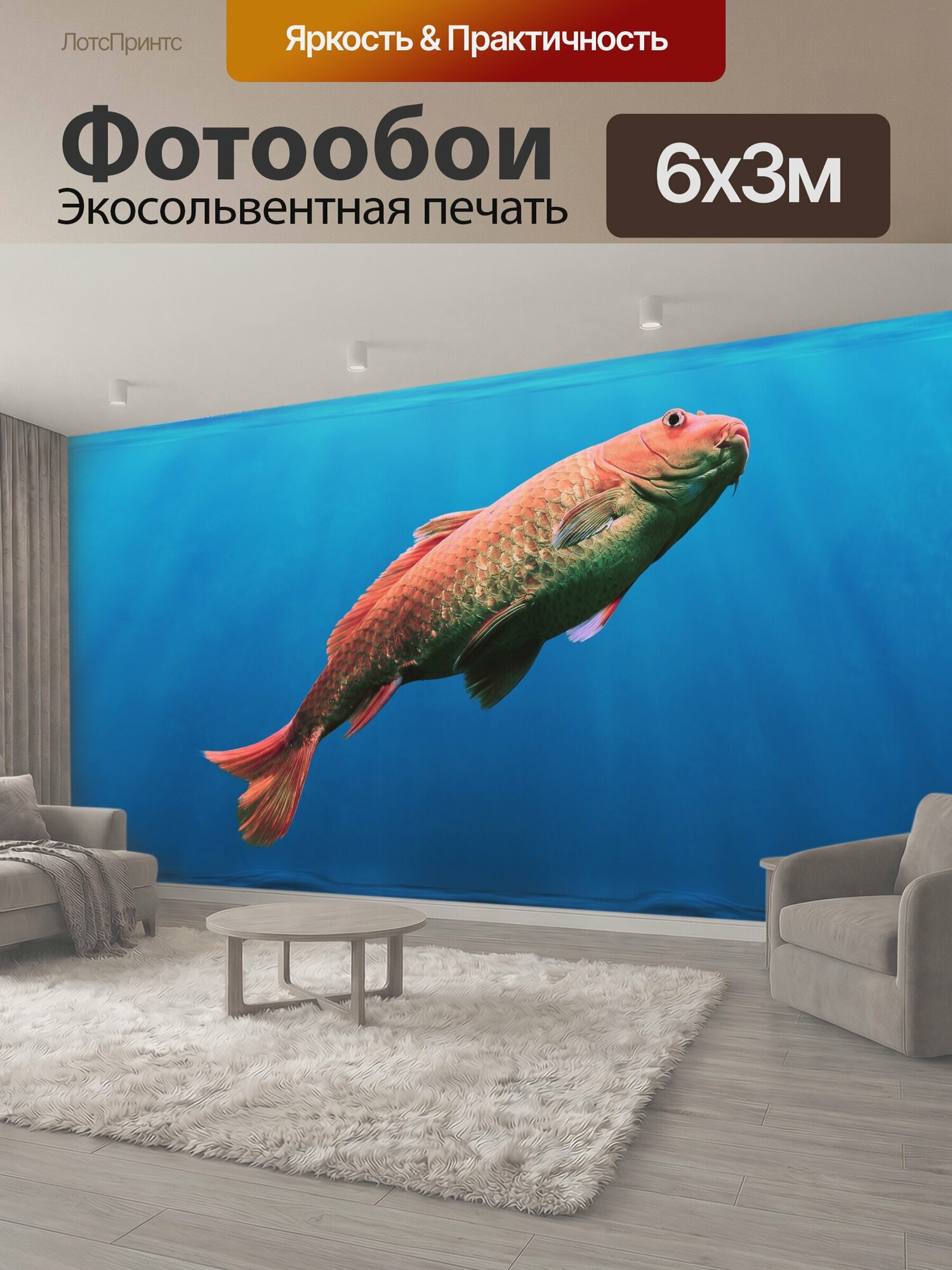 Фотообои "Кои Карп Рыба Вода Фоновые обои Кои Карп Кои Карп Рыба Вода Обои Фотомонтаж карп кои кои карп золото оранжевый рыба проплывает." 600x300 см. экосольвентная печать