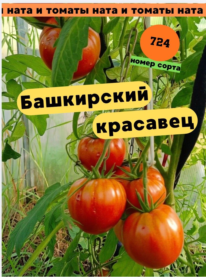 Коллекционные семена томата Башкирский красавец 10 шт