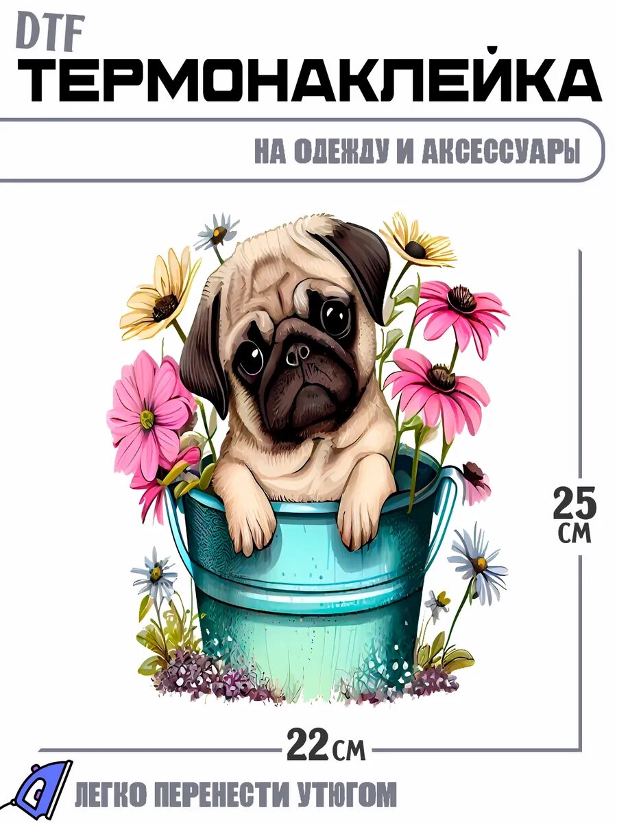 Термонаклейка Мопс в цветах