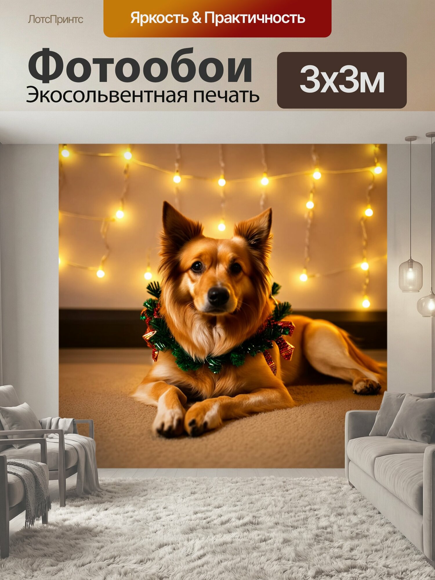 Фотообои "Собака лежит на полу, порода марокканский шпиц, обернута гирляндой с желтыми огоньками, на фоне стены с висящими гирляндами, мягкий." 300x300 см. экосольвентная печать