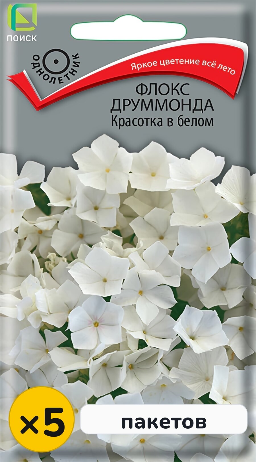 Семена флокса Друммонда Красотка в белом, 0,1 г, 5 пакетов, поиск, однолетник, высота до 25 см