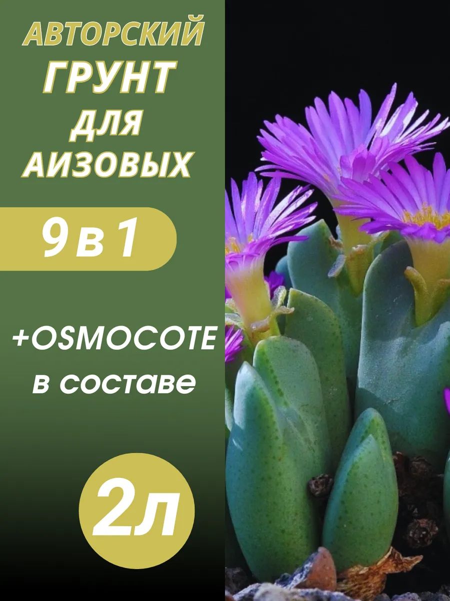 Грунт для Аизовых 2л готовый