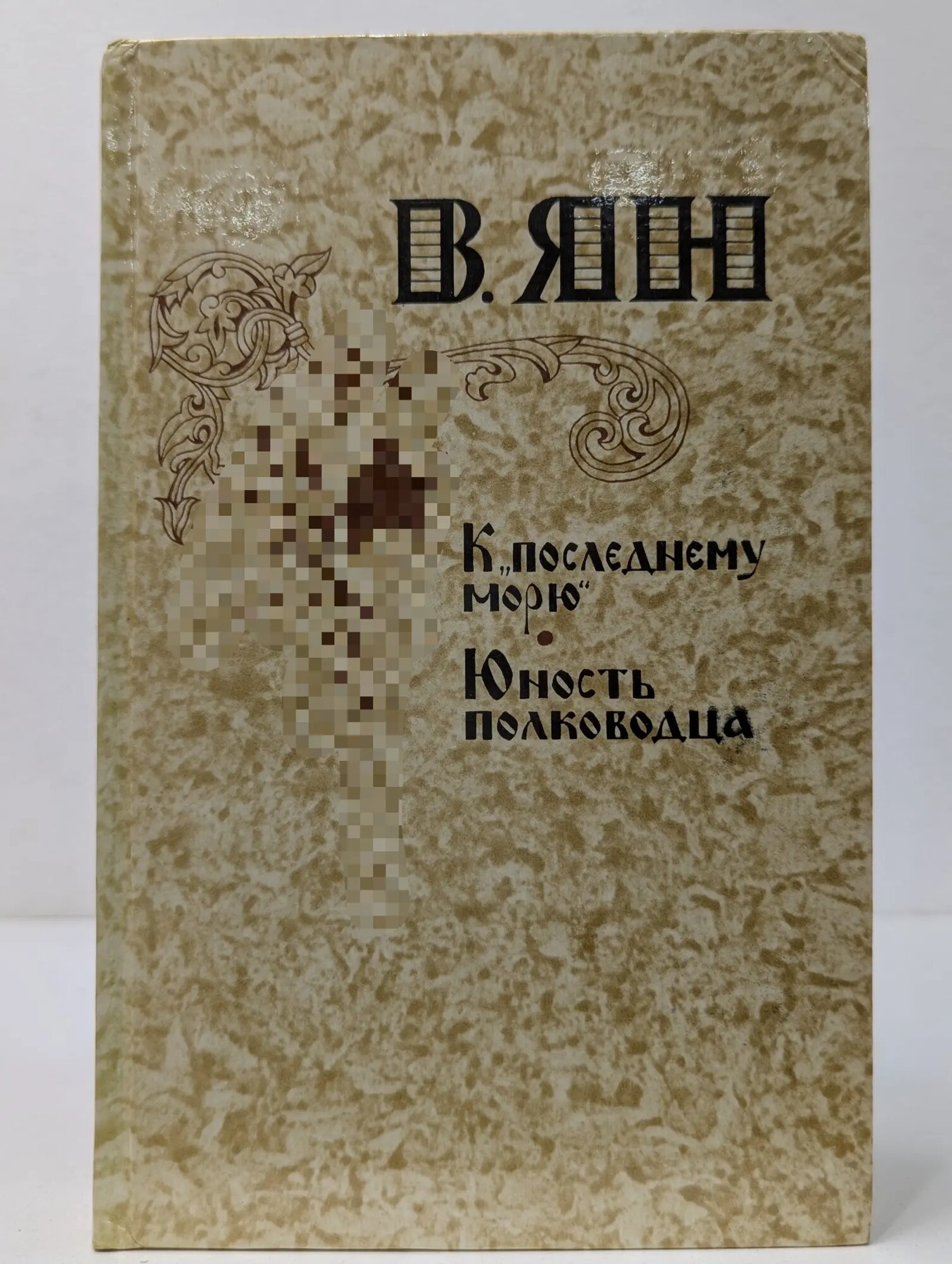К последнему морю. Юность полководца Ян Василий Григорьевич 1981