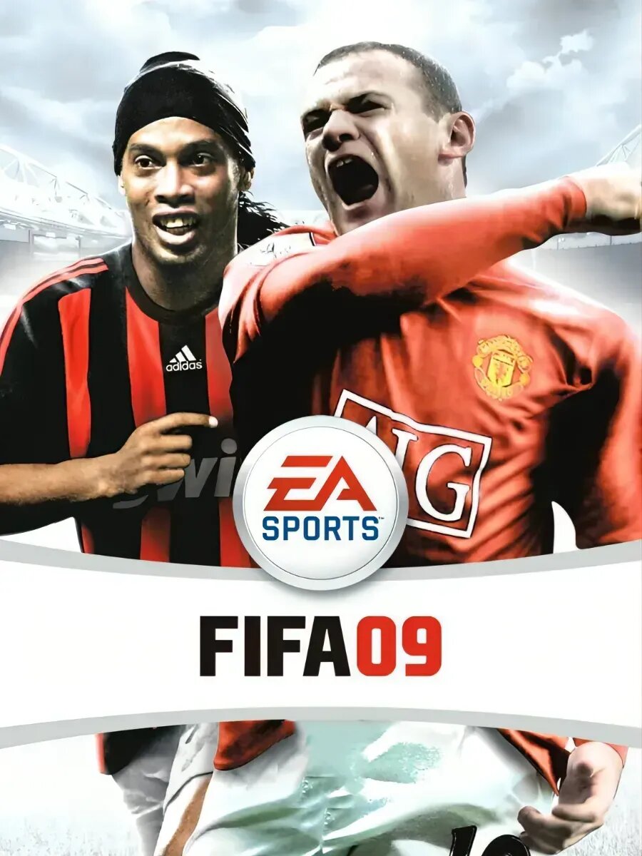 FIFA 09, игра для ПК (на флешке USB)