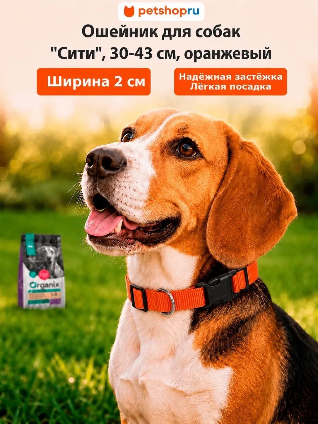 Yami Yami амуниция Ошейник "Сити" для собак, оранжевый, 30-43 см