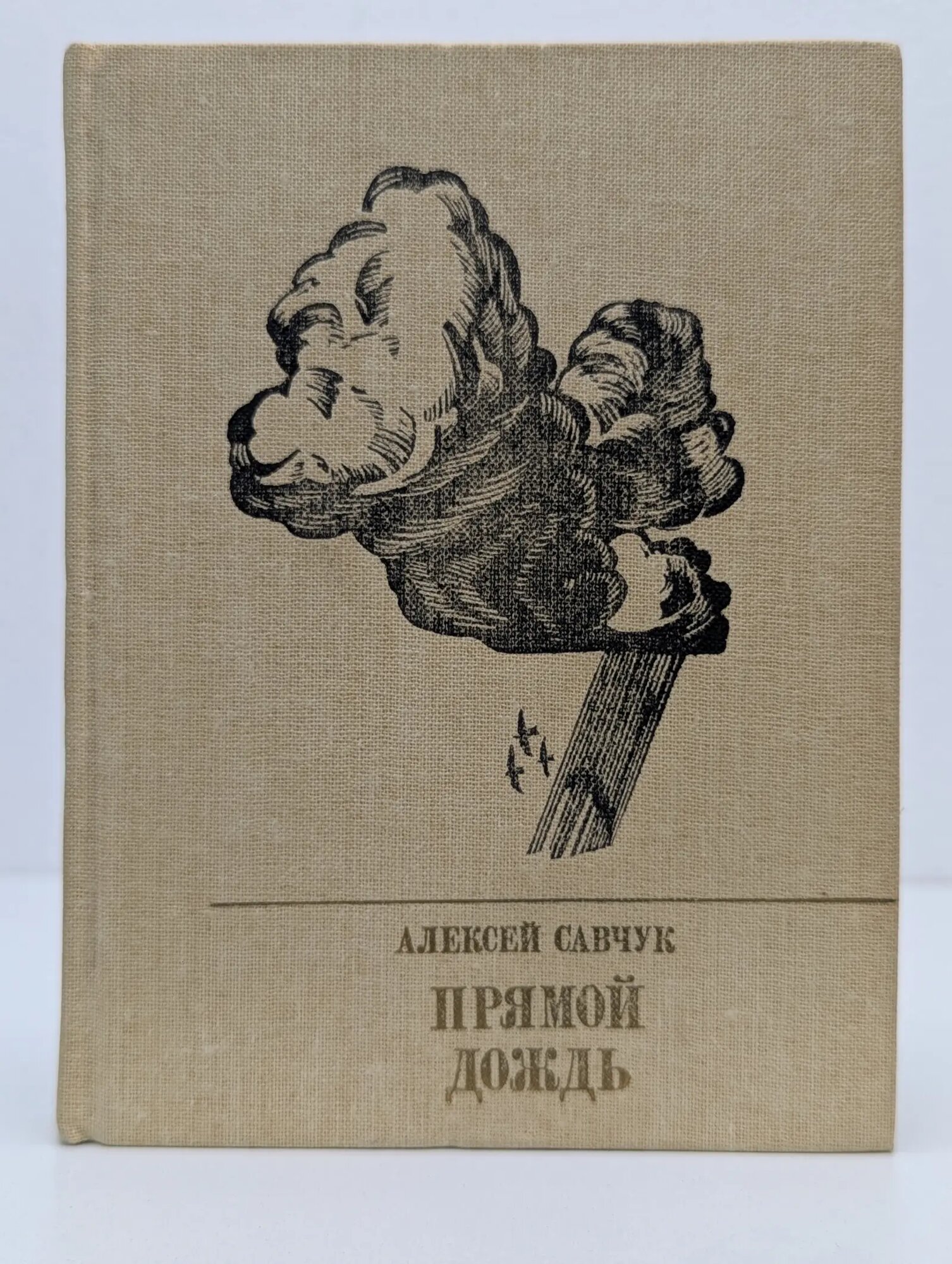 Пламенные революционеры. Прямой дождь Савчук Алексей Иванович 1984