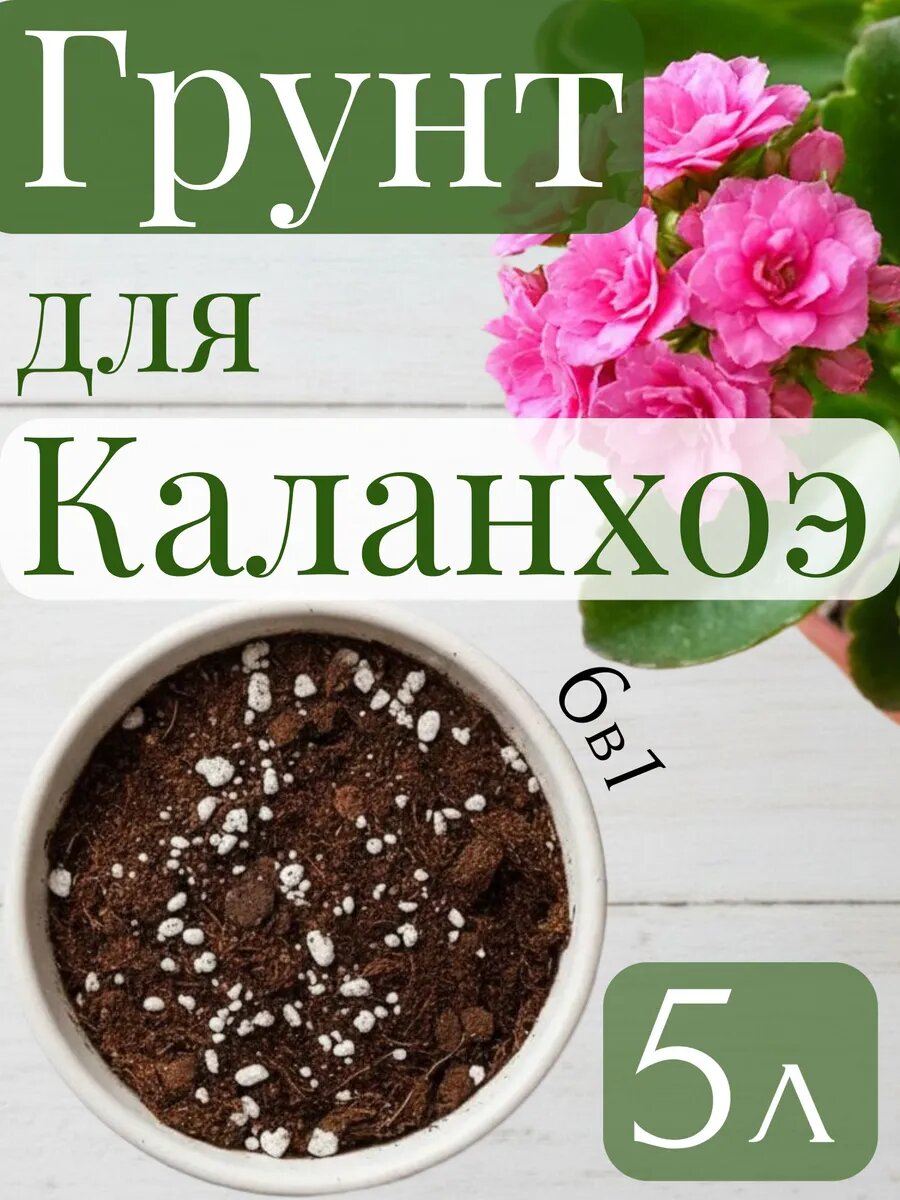 Готовый грунт для Каланхоэ 5 литров