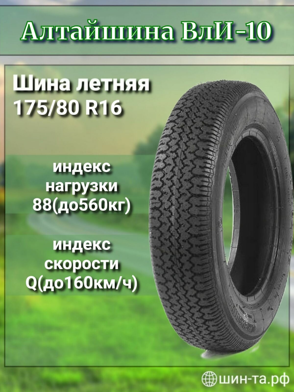 Шина легковая летняя Алтайшина ВлИ-10 175/80 R16 88Q TT