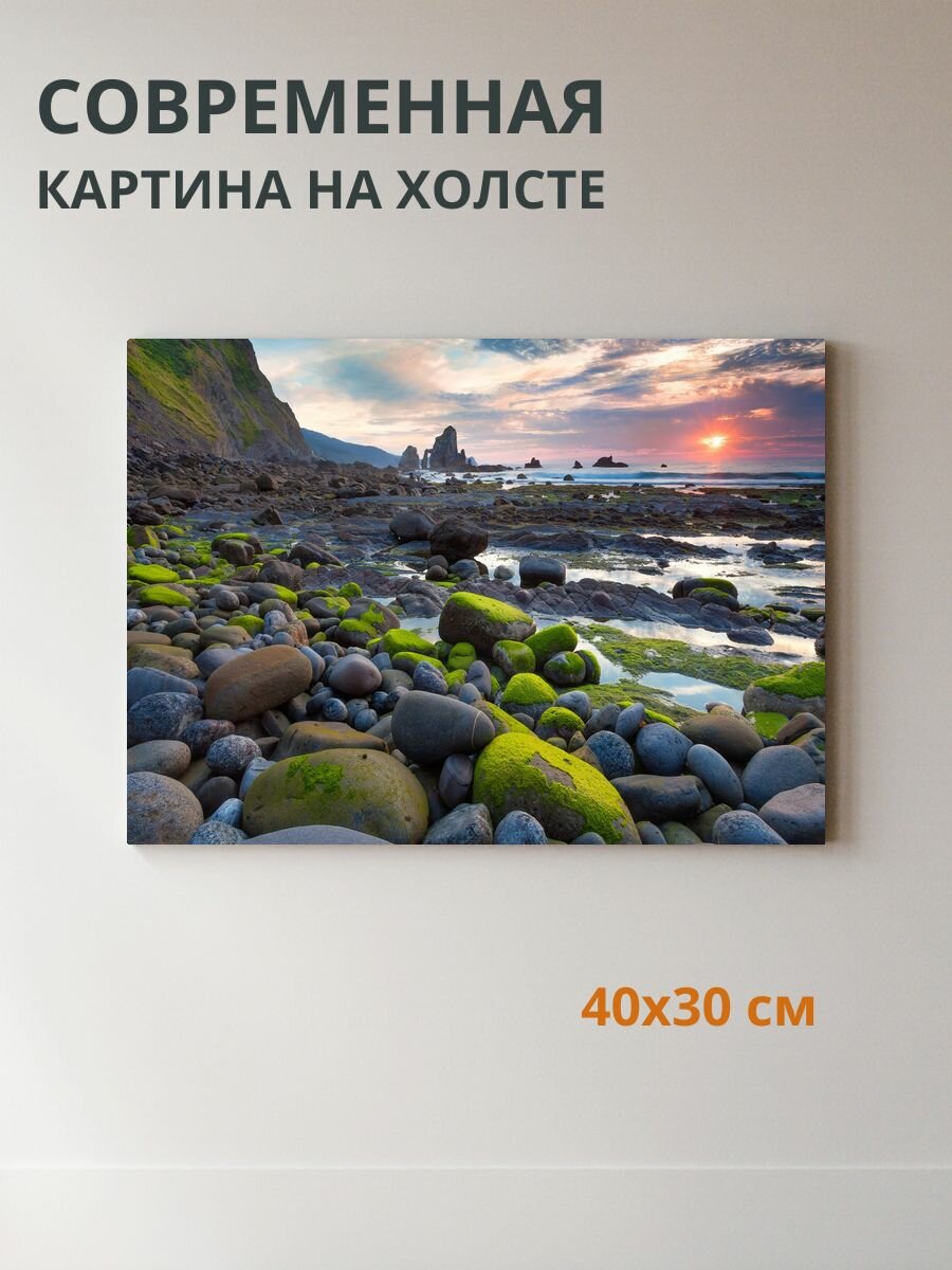 Картина на холсте Камни на берегу с мхом 40x30 см