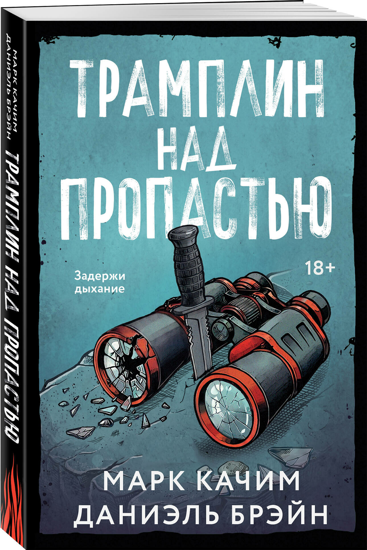 Качим М, Брэйн Д. Трамплин над пропастью
