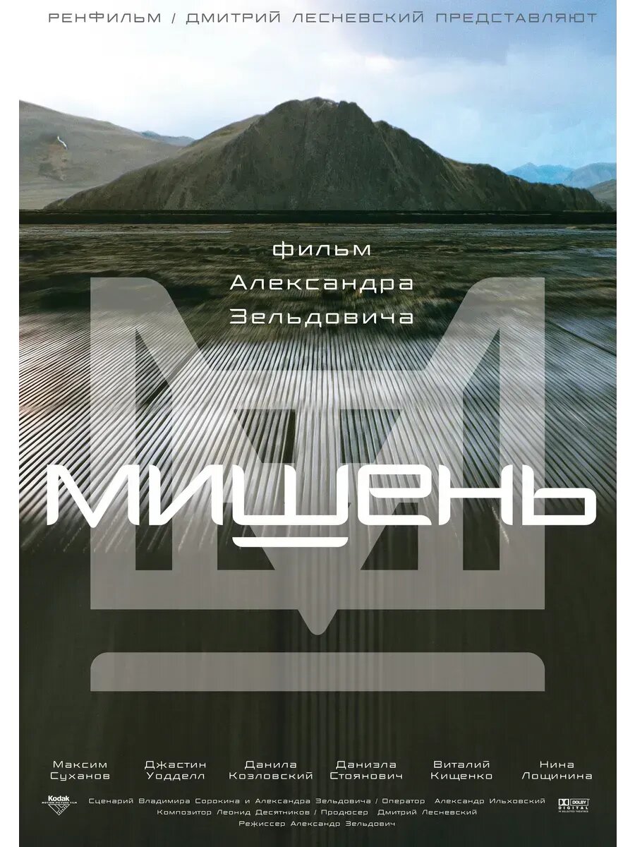 Мишень (2010) (флешка)