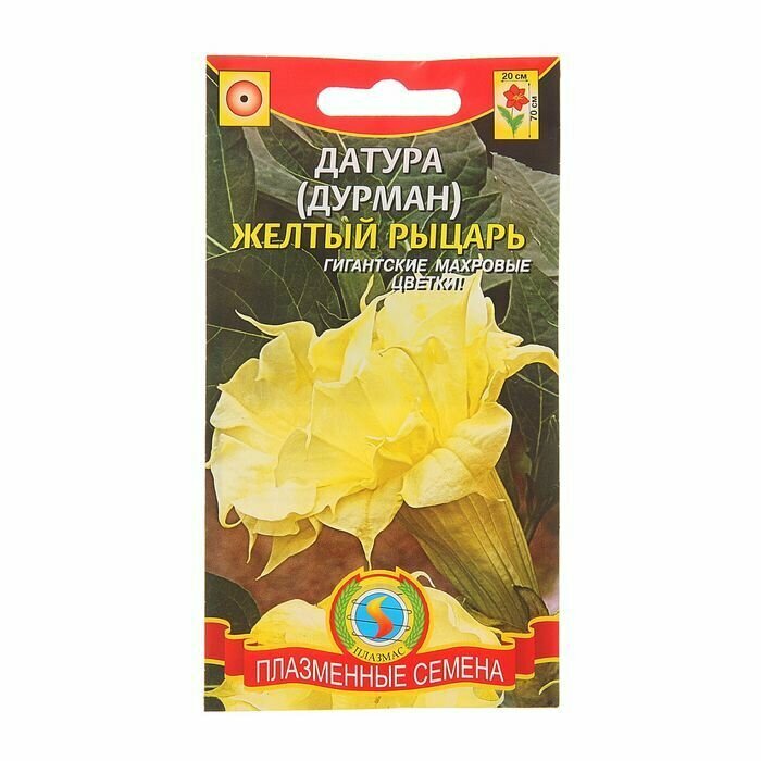 Семена цветов Датура (Дурман) 'Желтый рыцарь', О, 4 шт