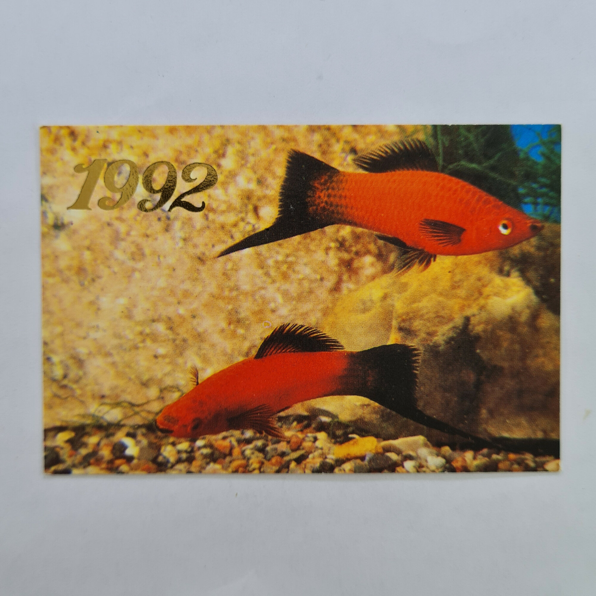 Карманный календарик 1992. Красный меченосец, аквариумная рыба. Календарь винтажный коллекционный
