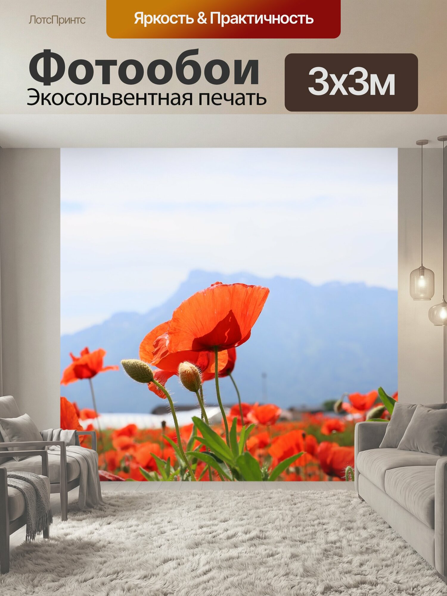 Фотообои "Мак, unterberg, австрия" 300x300 см. экосольвентная печать