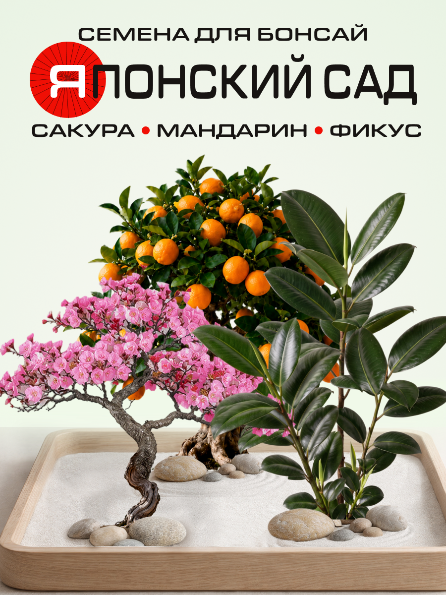 Набор семян для выращивания растений бонсай. Сакура, Мандарин, Фикус