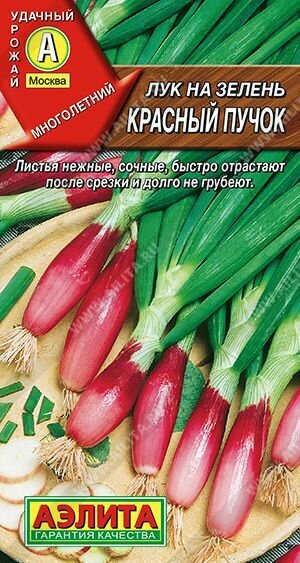 Семена Лук на зелень "Красный пучок", Агрофирма Аэлита лук на перо семена красный пучок