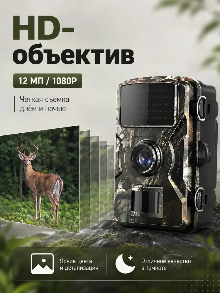 Фотоловушка — фото 1