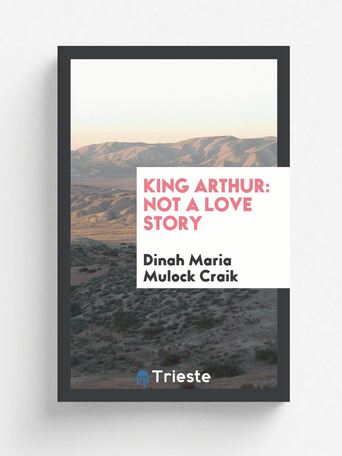 King Arthur. Not a Love Story