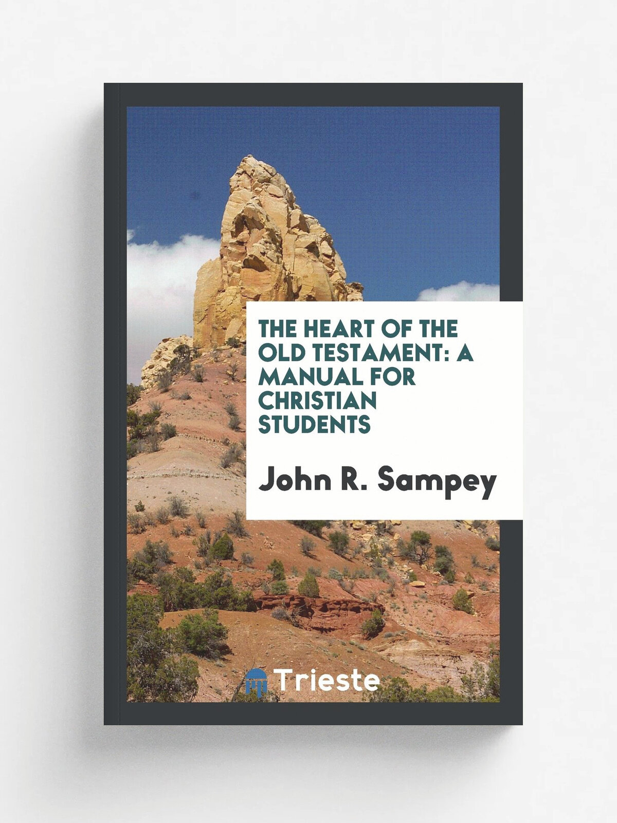 The heart of the Old Testament. a manual for Christian students