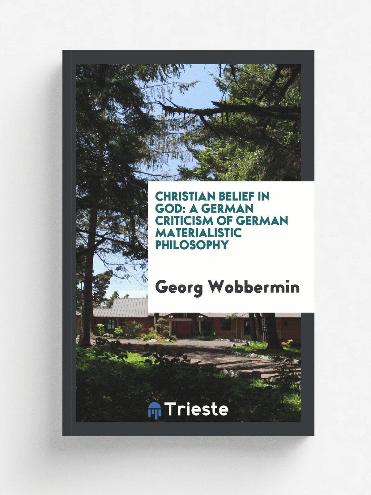 Christian belief in God. a German criticism of German materialistic philosophy