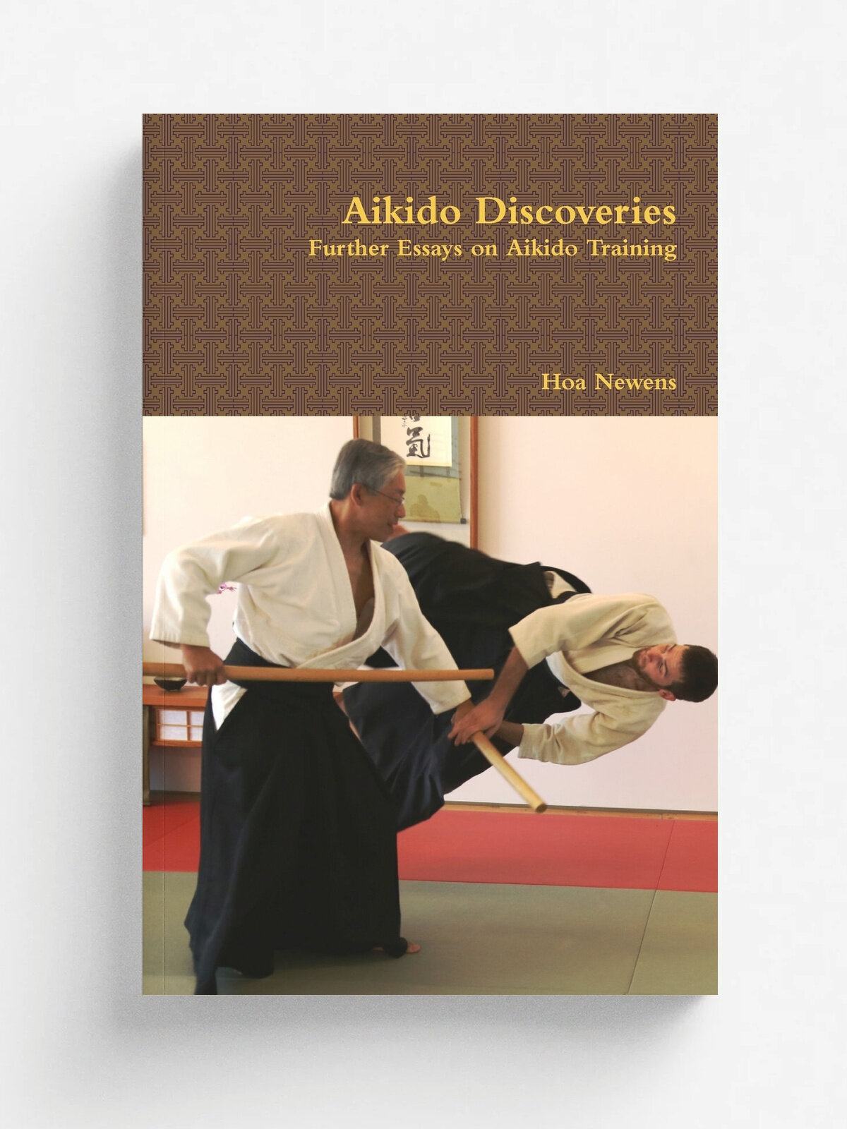 Aikido Discoveries - Further Essays on Aikido Training