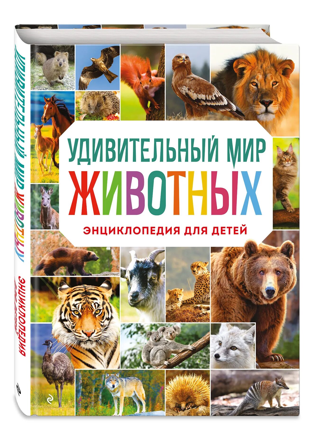 Баранова Н. Н. / Удивительный мир животных. Энциклопедия для детей (твёрдый переплет)