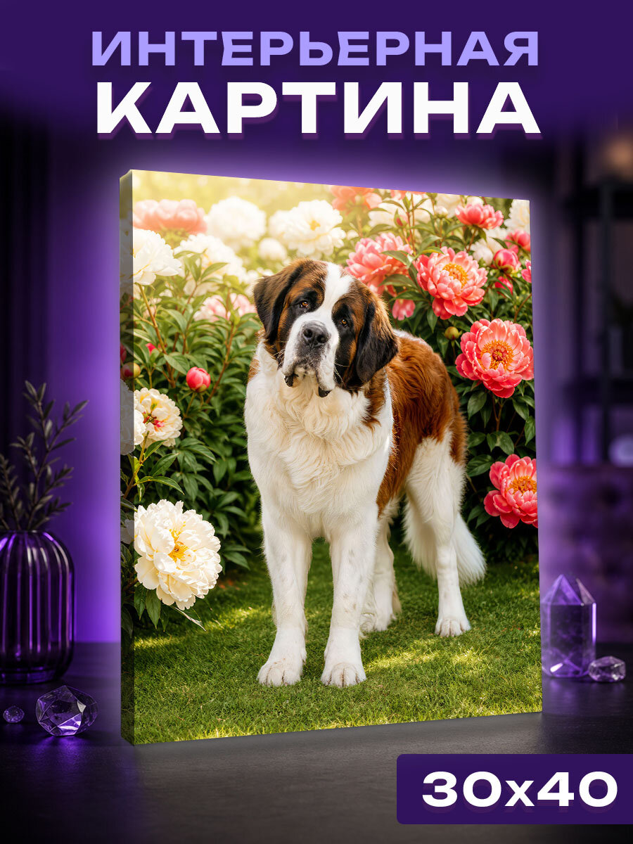 Интерьерная картина Сенбернар среди пионов