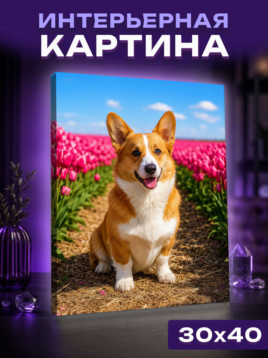 Интерьерная картина Корги в рядах ярко-розовых тюльпанов
