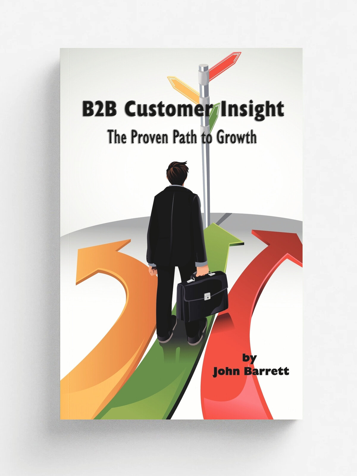 B2B Customer Insight. The Proven Path to Growth