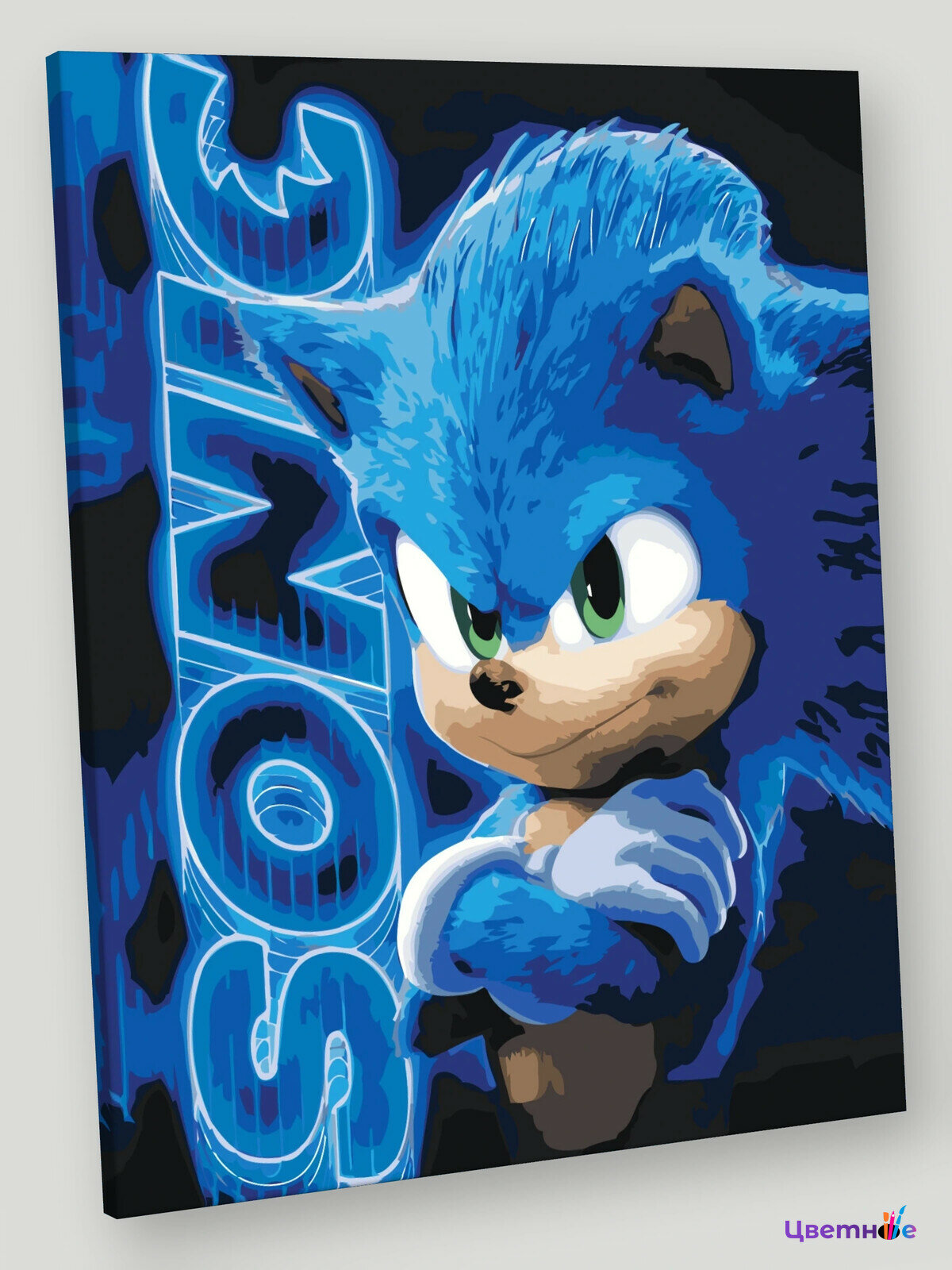 Картина по номерам на холсте с подрамником 40x50 "Кино Соник Sonic: ёж крупным планом", Мультфильмы