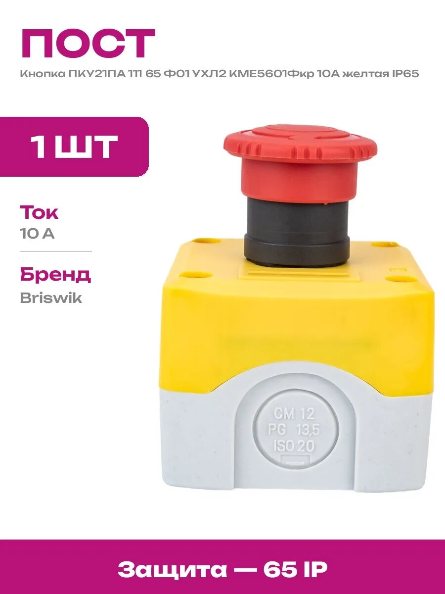 Кнопочный пост управления ПКУ21ПА 111 65 Ф01 УХЛ2 КМЕ5601Фкр