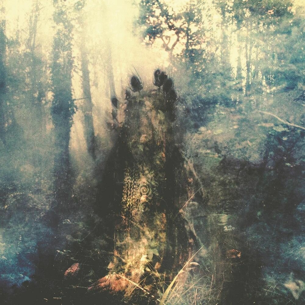 Музыкальный диск CD, SYLVAINE Wistful (digipak)(post black metal)