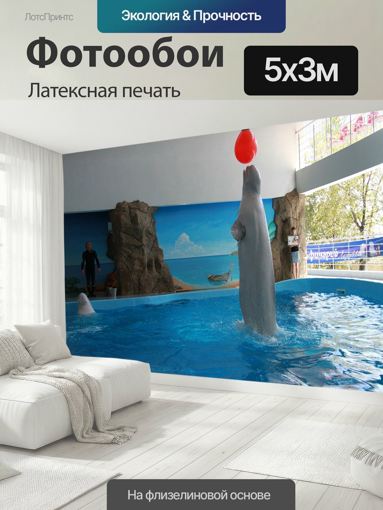 Фотообои моющиеся ударопрочные "Касатка, дельфинарий, трюки" 500x300 см. латексная печать