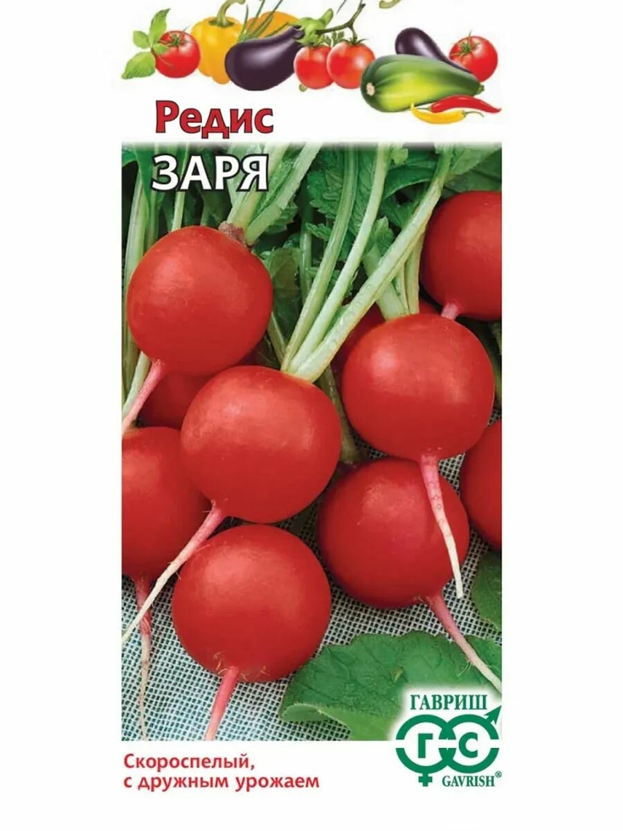 Семена "Редис Заря"
